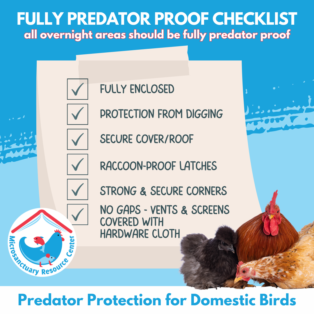 Predator Protection for Domestic Birds – Microsanctuary Resource Center