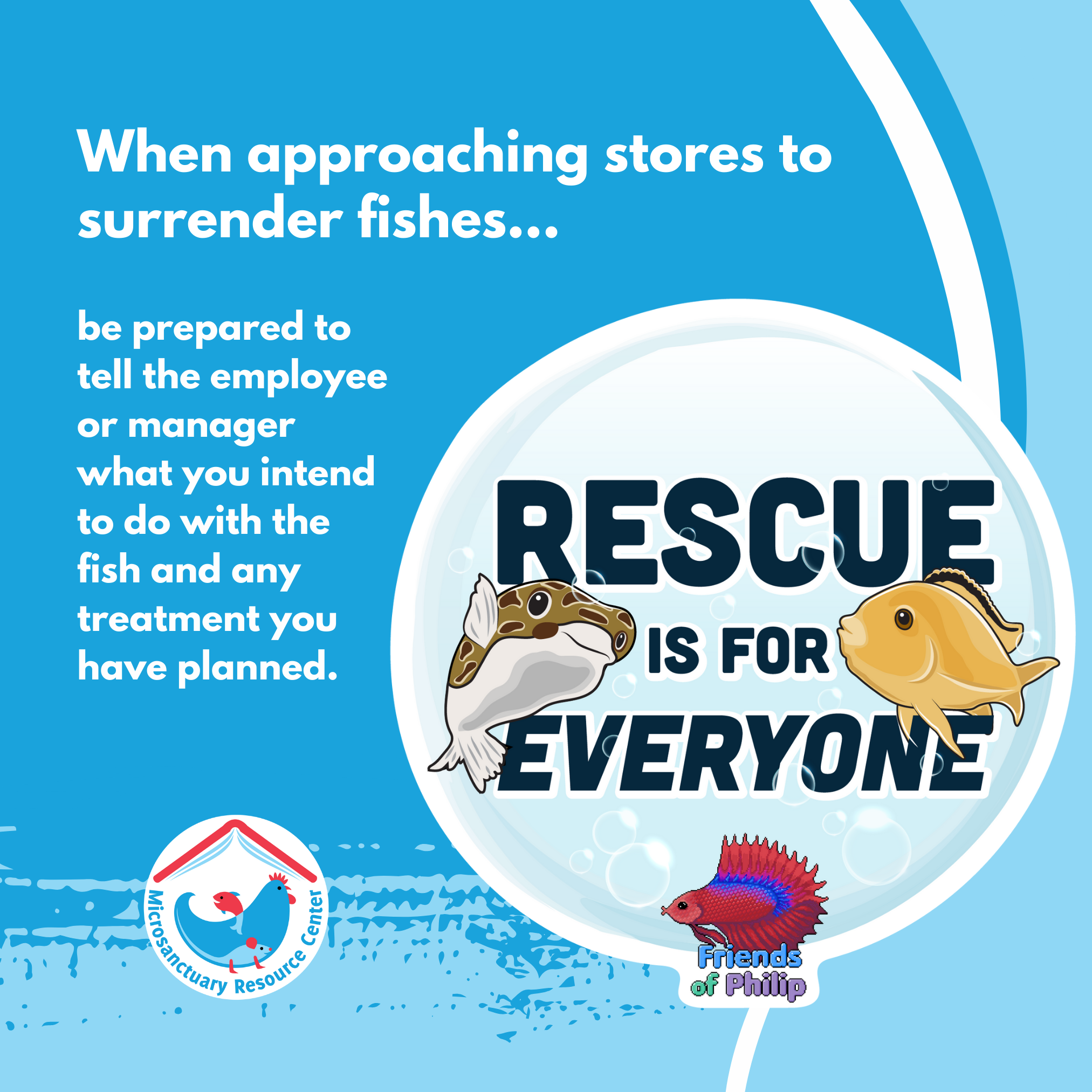 Rescuing Fishes: Beginner’s Guide – Microsanctuary Resource Center
