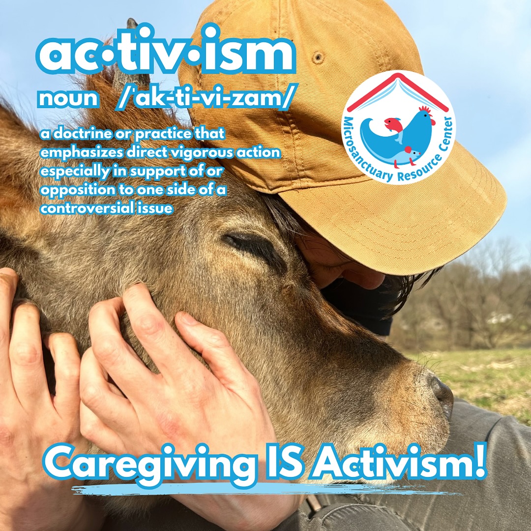 caregiving is activism – Microsanctuary Resource Center